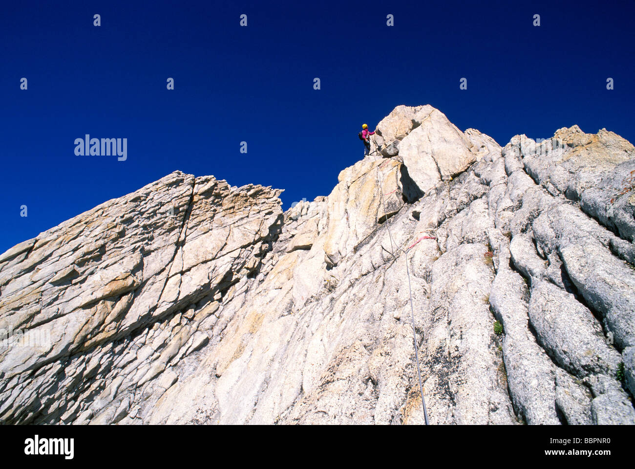 Climber on the West Ridge of Mt Conness Tuolumne Meadows area Yosemite ...