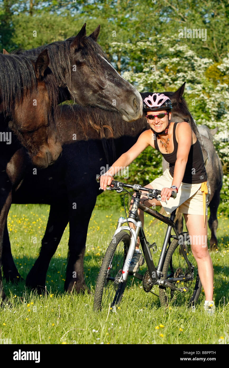 Perche horse hi-res stock photography and images - Alamy