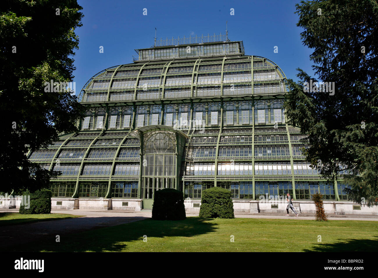 PALM TREE GREENHOUSE, PALMENHAUS, IN THE GARDENS OF THE SCHONBRUNN ...
