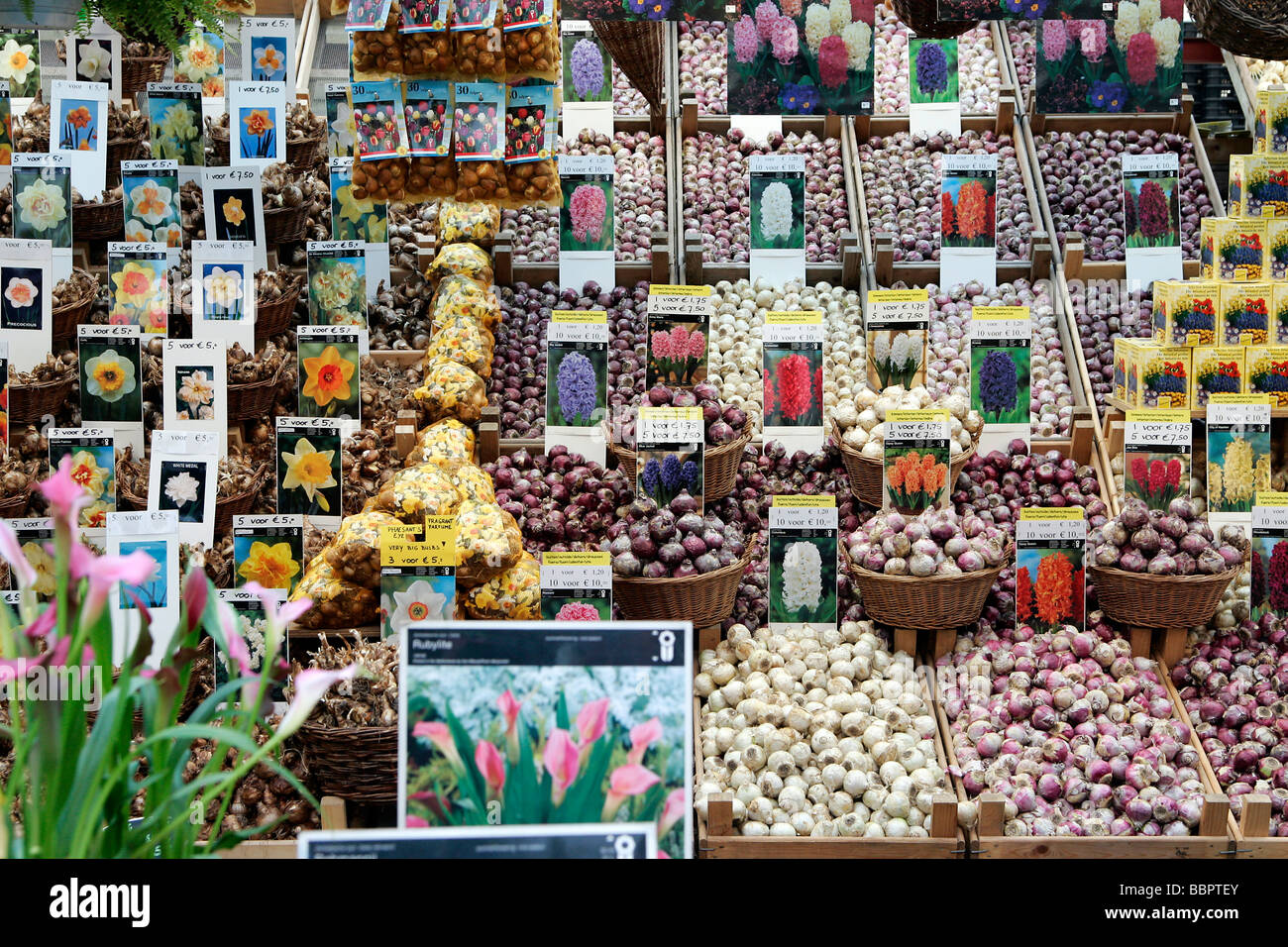 Florist's Flowers Stall Display High Resolution Stock Photography and ...