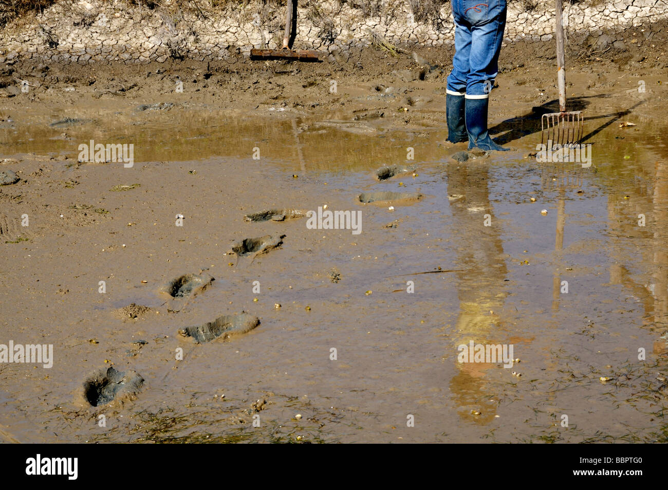 Stock photo of a woman in her wellies standing in mud Stock Photo - Alamy