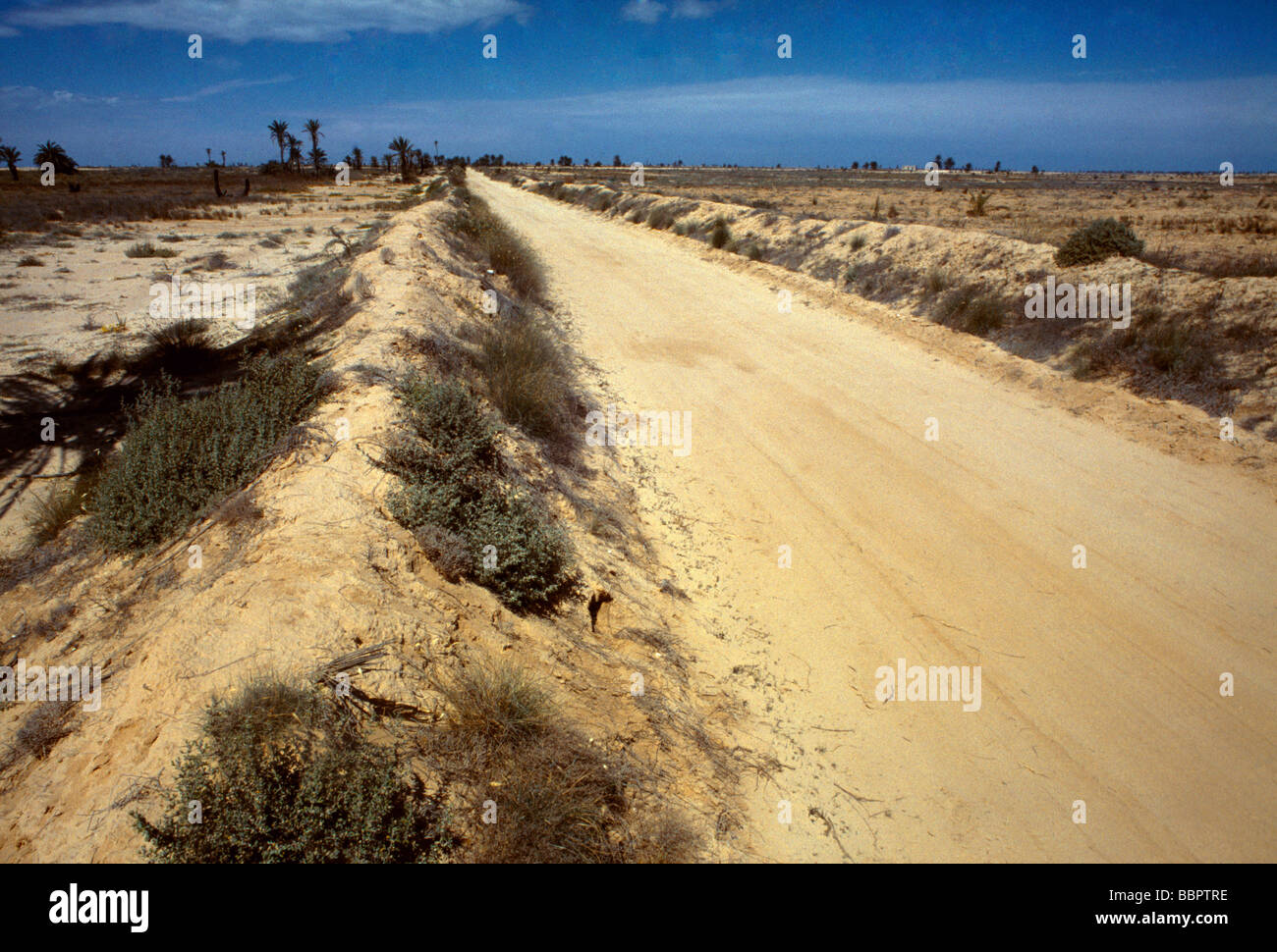 Djerba Tunisia Sand Road Stock Photo - Alamy