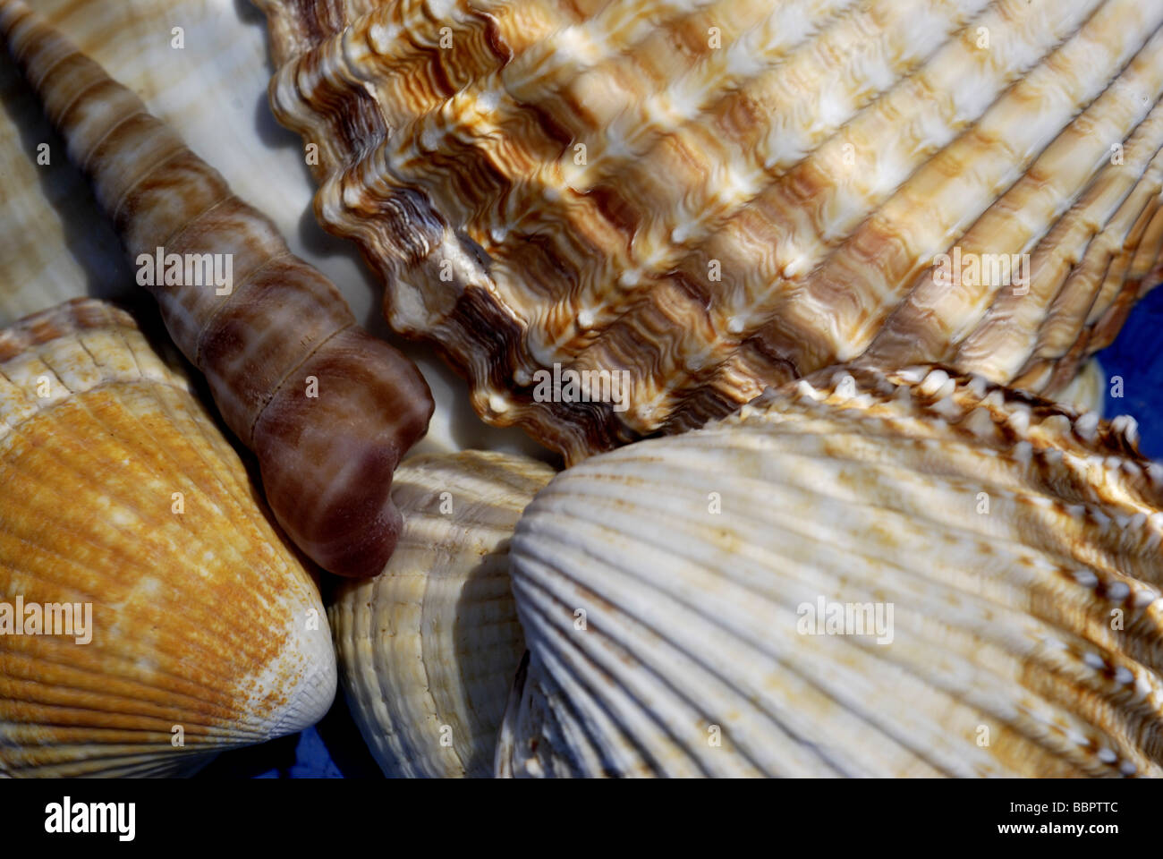 Underwater beach hi-res stock photography and images - Alamy