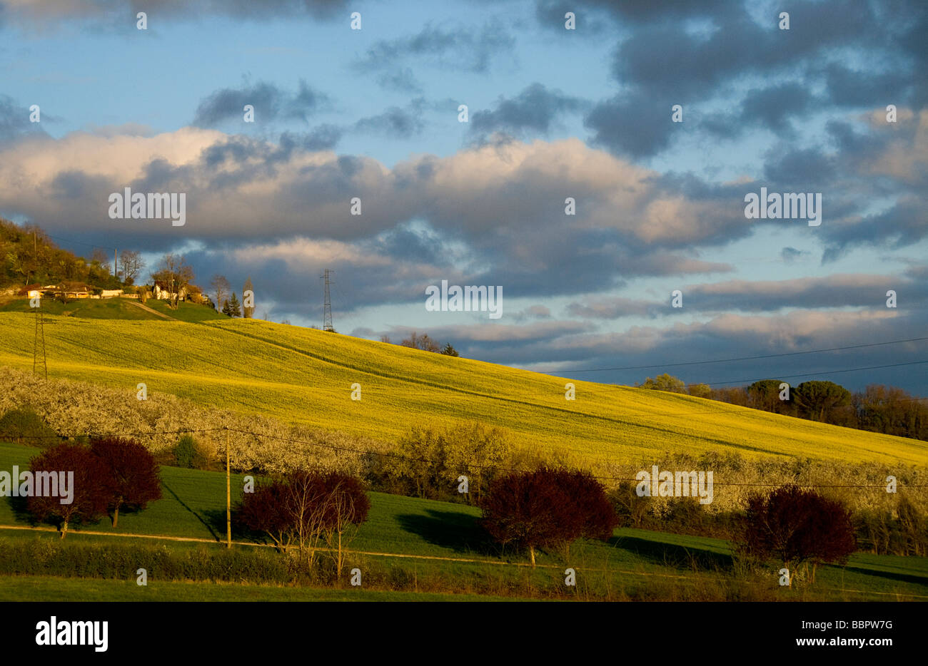 French countryside in evening light Stock Photo - Alamy