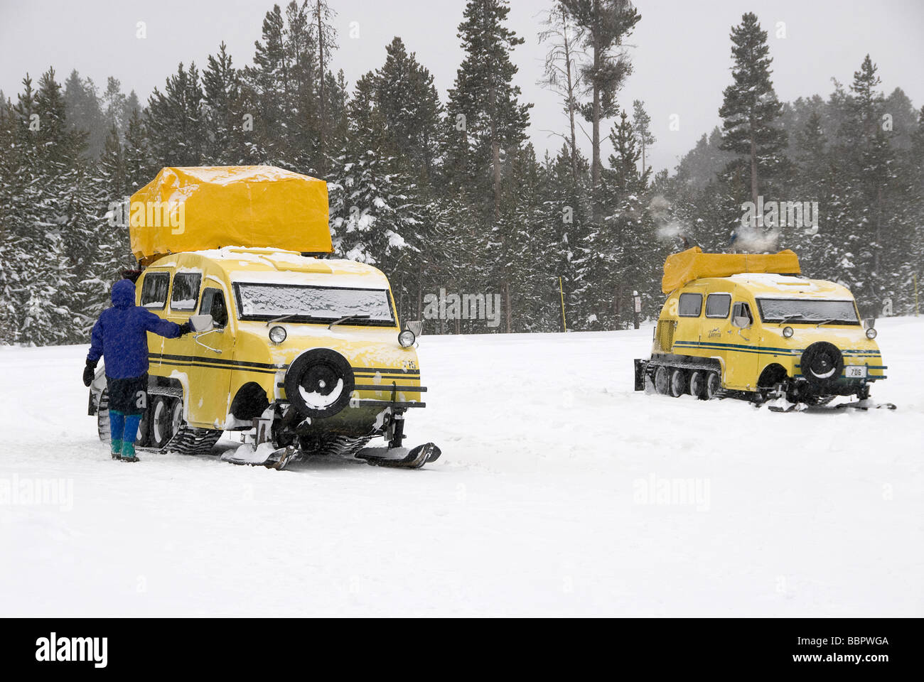 Yellowstone montana snow coach hi-res stock photography and images - Alamy