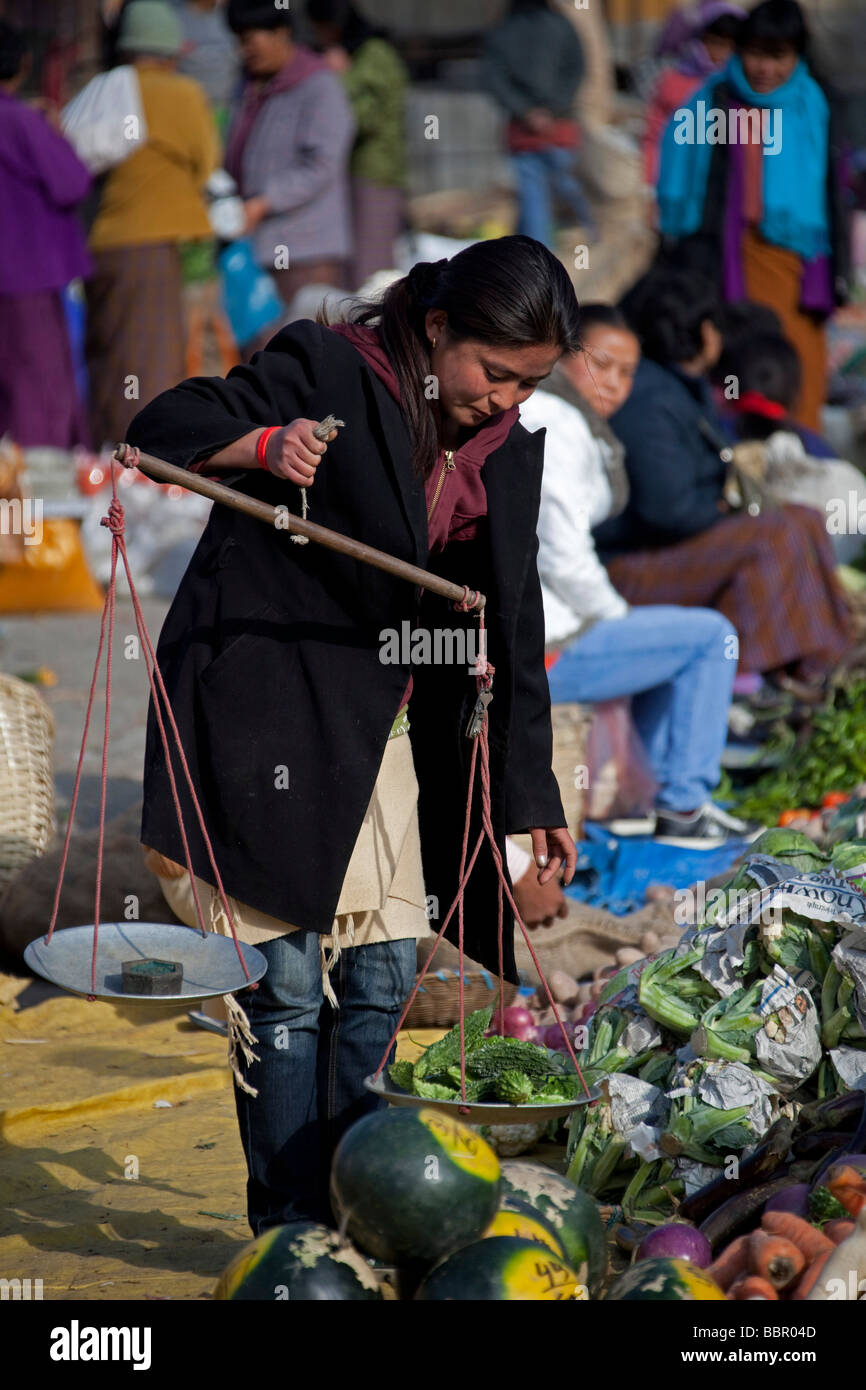 Scalesfresh hi-res stock photography and images - Alamy