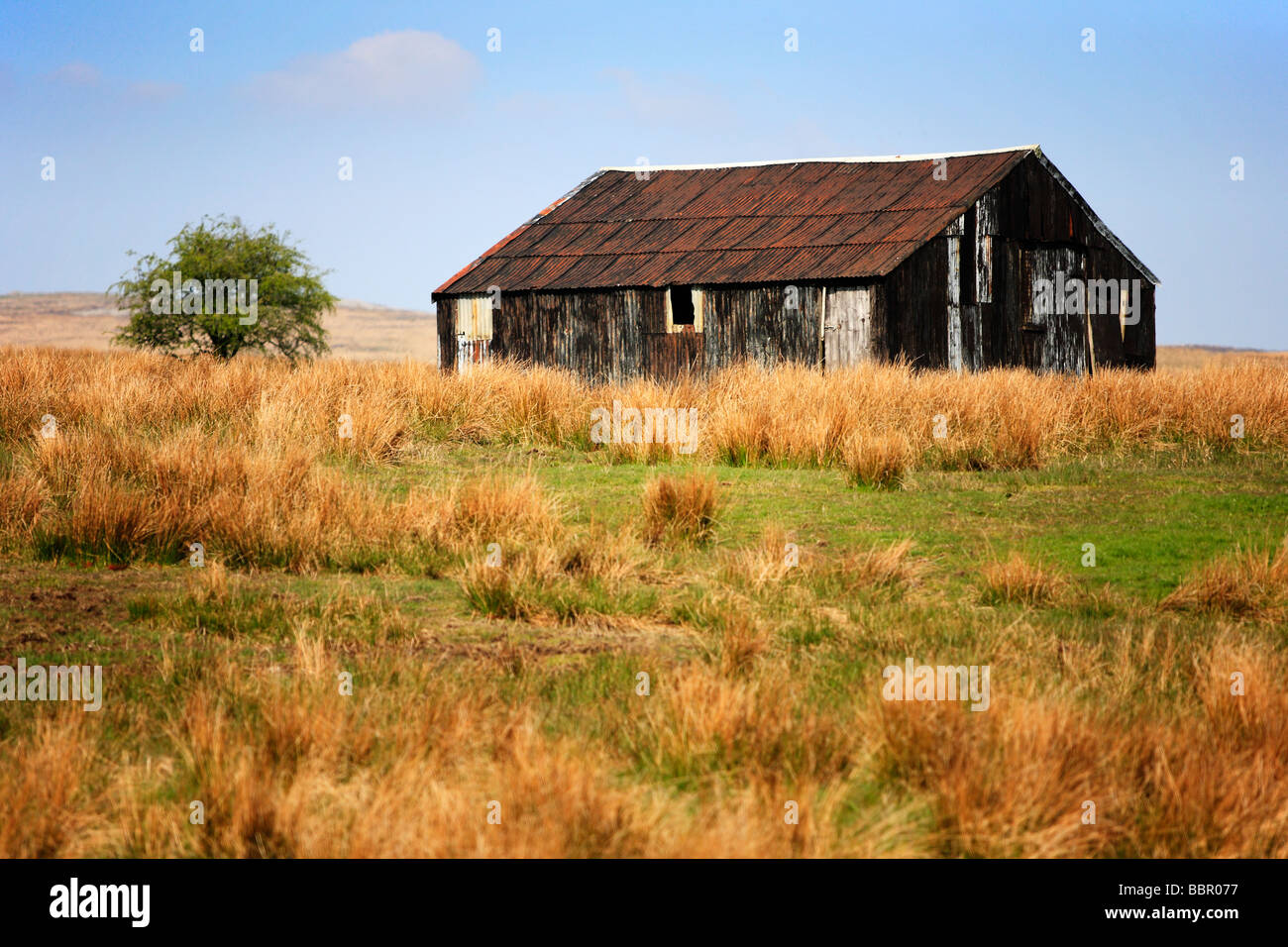 Trefil hi-res stock photography and images - Alamy