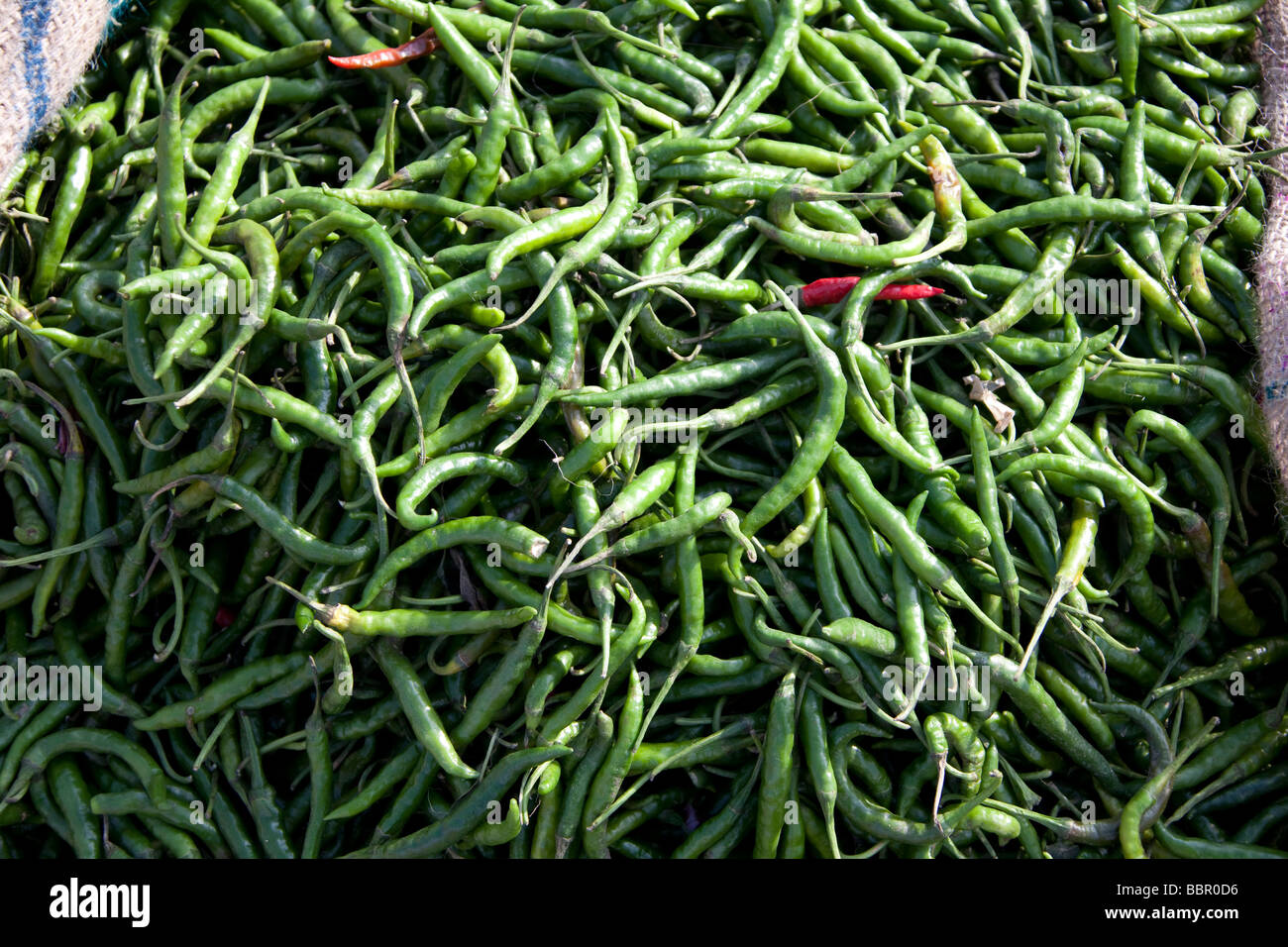 green chili peppers Paro vegetables and fruit market, Bhutan, Asia ...