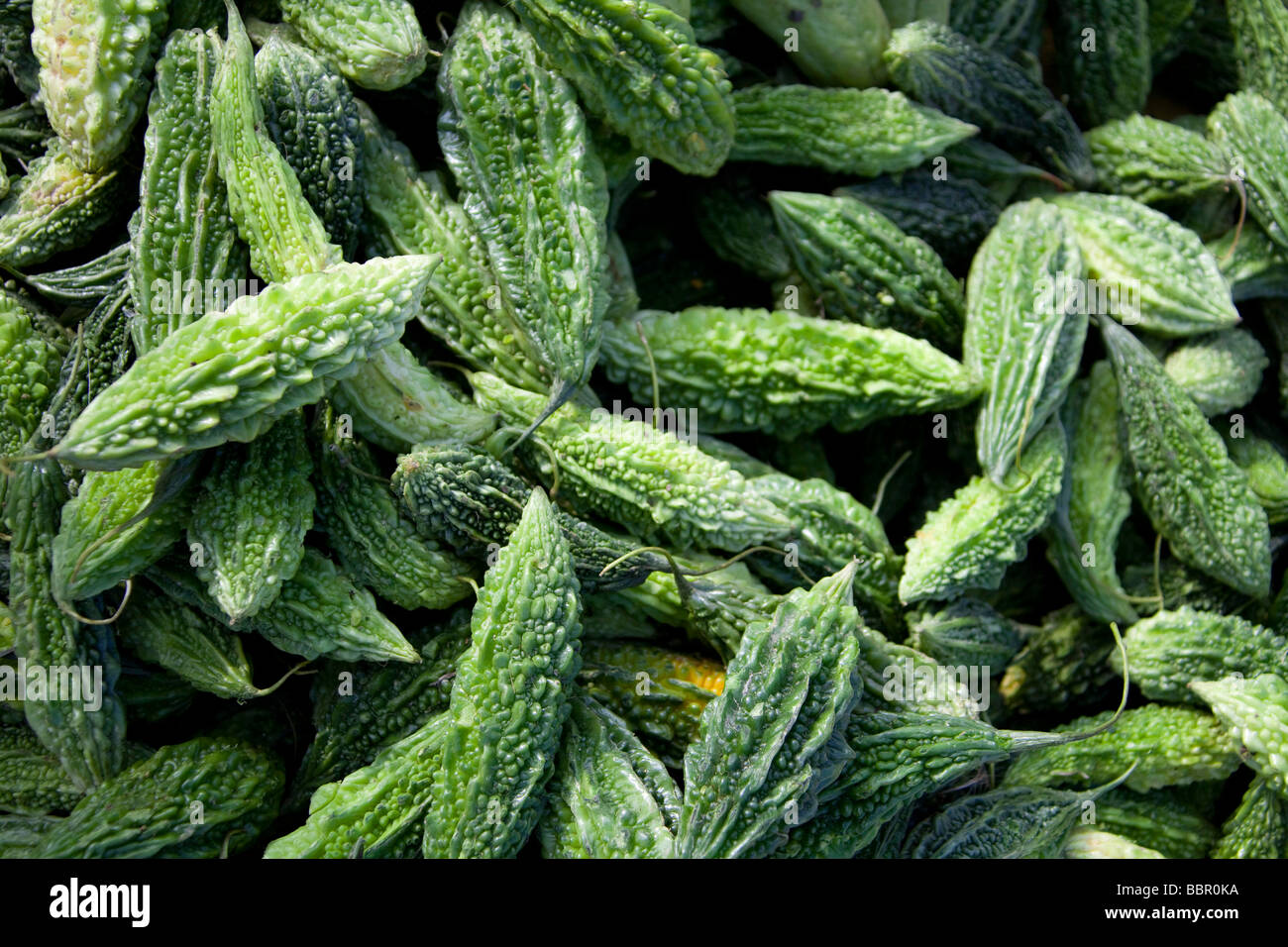 cucumbers Paro vegetables and fruit market, Bhutan, Asia Stock Photo ...