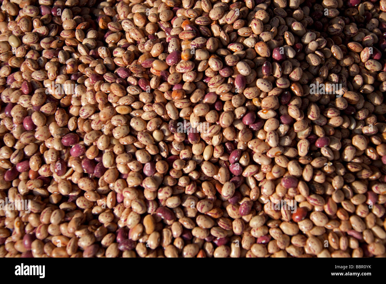 Paro food market hi-res stock photography and images - Alamy