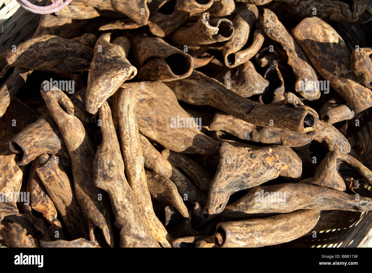 dried yak meat skin Paro vegetables and fruit market, Bhutan, Asia ...