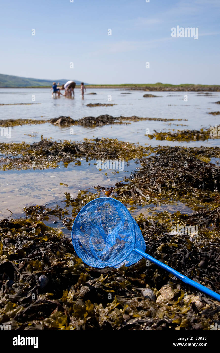 Family rockpooling hi-res stock photography and images - Alamy