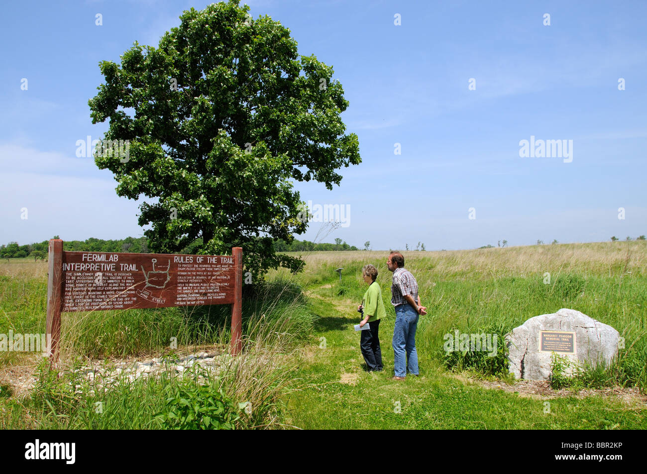 Fermilab tall grass prairie Fox River Valley in Batavia northern ...