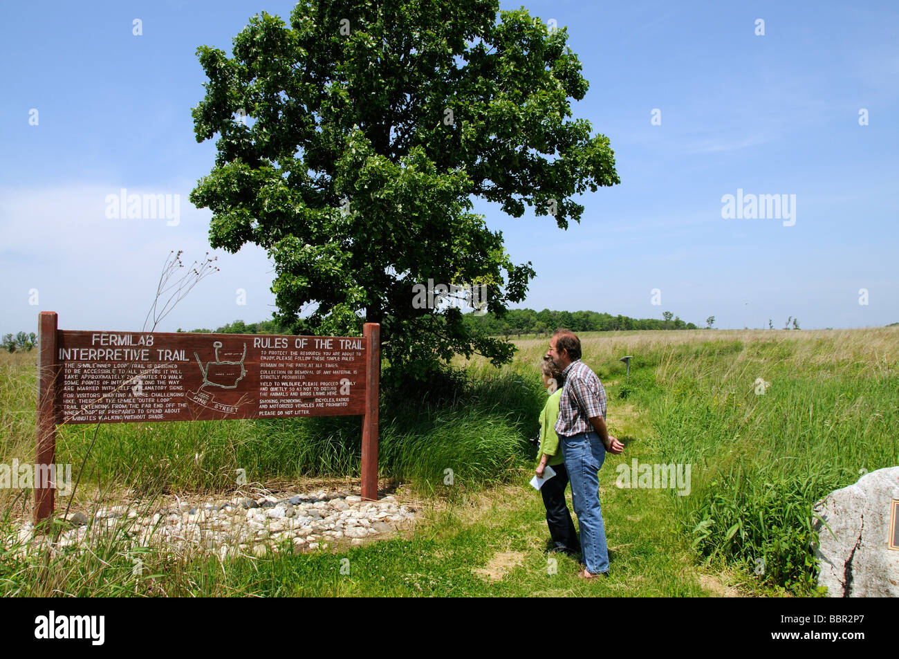 Fermilab tall grass prairie Fox River Valley in Batavia northern ...