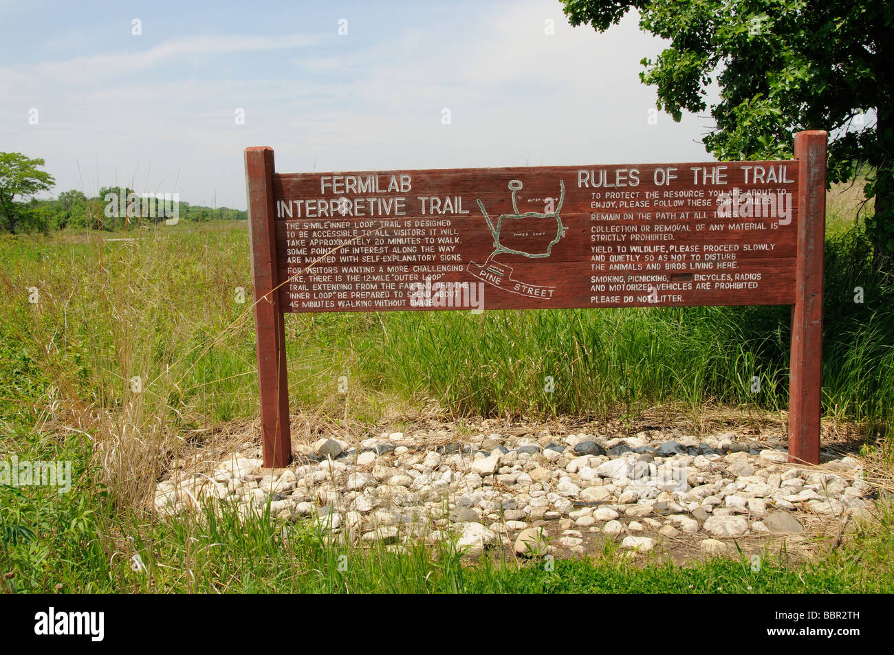 Fermilab tall grass prairie Fox River Valley in Batavia northern ...