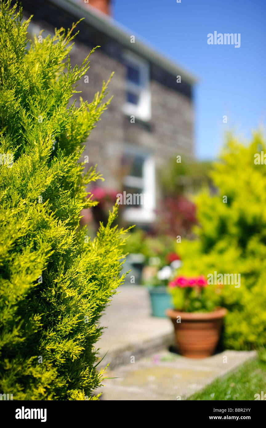 English country garden, Fraddam, Cornwall Stock Photo - Alamy
