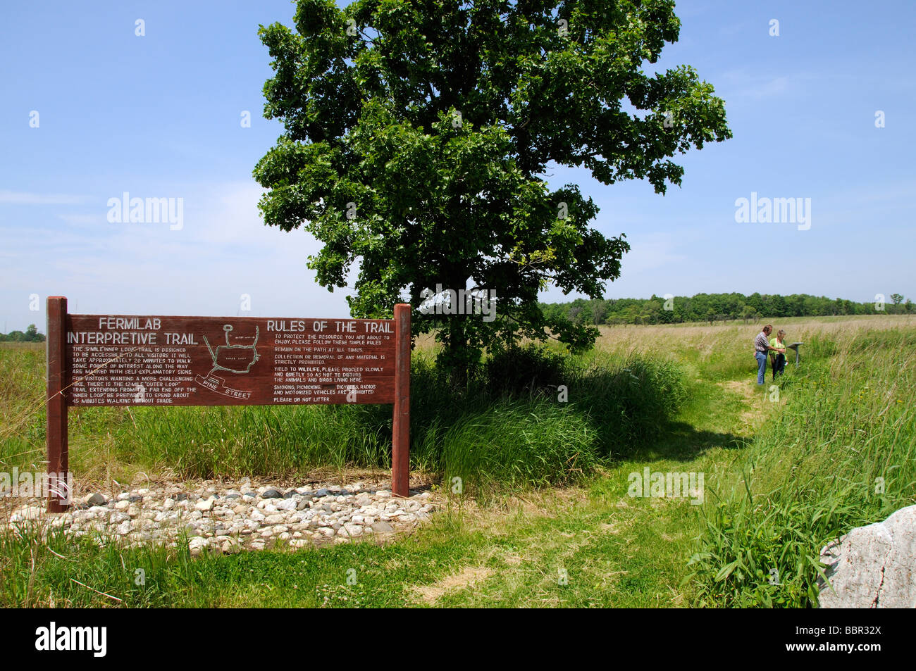 Fermilab tall grass prairie Fox River Valley in Batavia northern ...