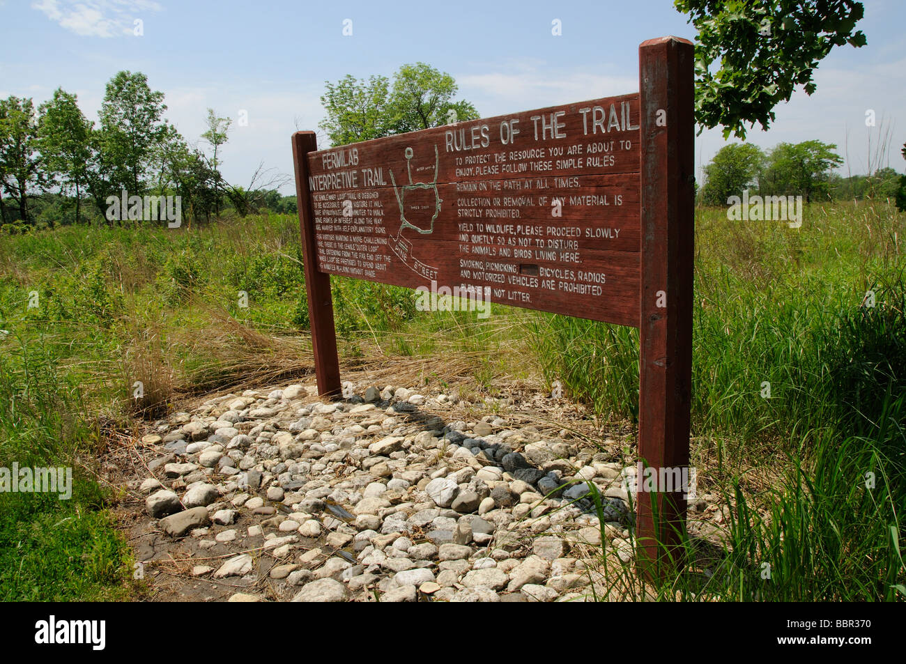 Fermilab tall grass prairie Fox River Valley in Batavia northern ...