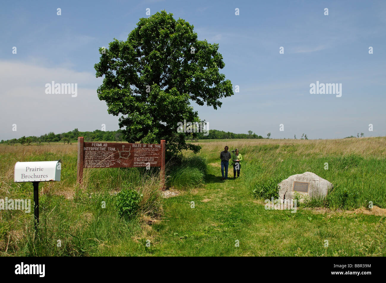 Fermilab tall grass prairie Fox River Valley in Batavia northern ...