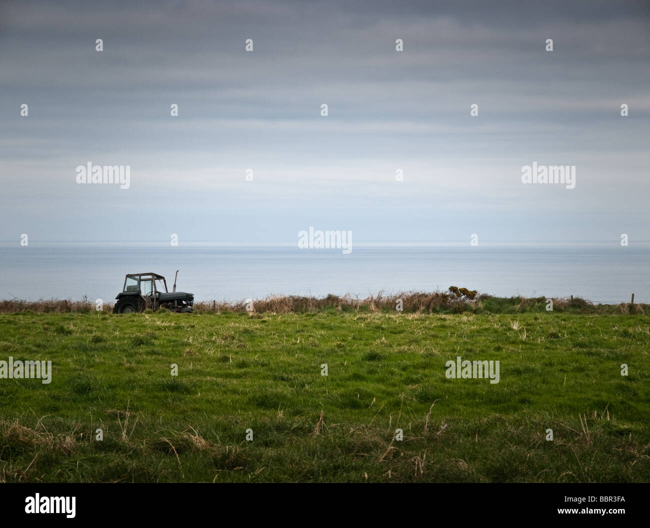 Cornwall agriculture hi-res stock photography and images - Alamy