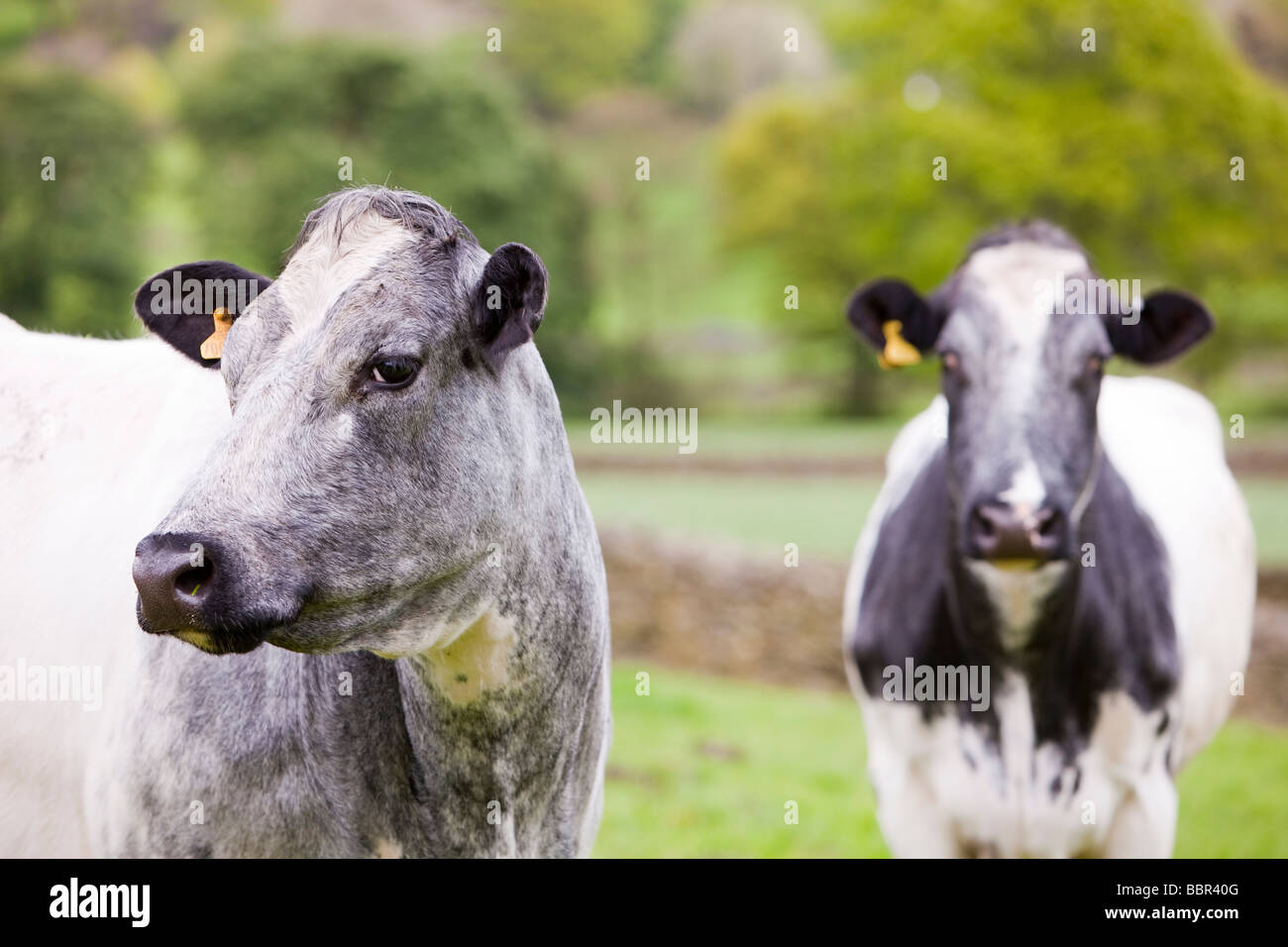 Farm lake district hi-res stock photography and images - Alamy
