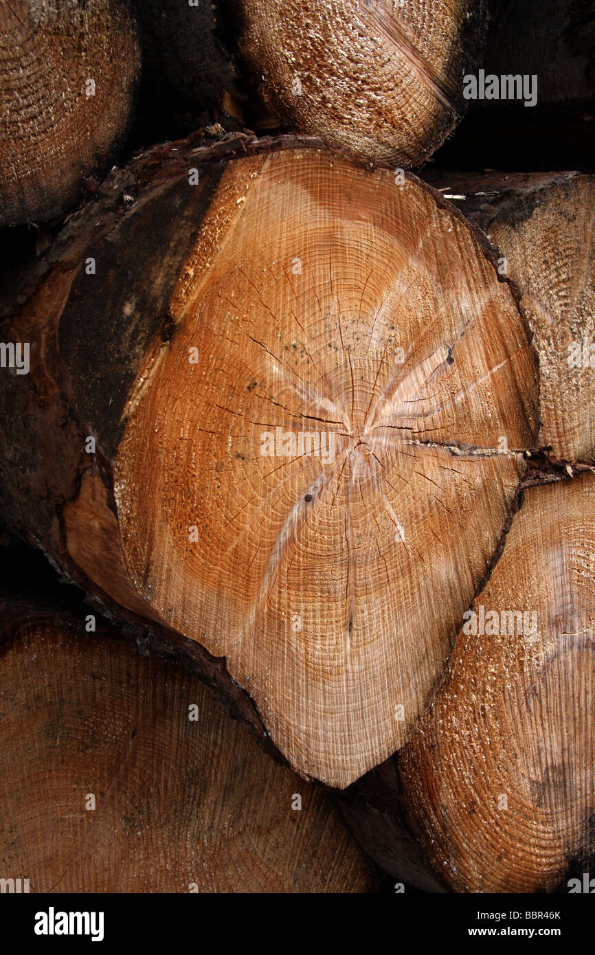 Woodyard hi-res stock photography and images - Alamy