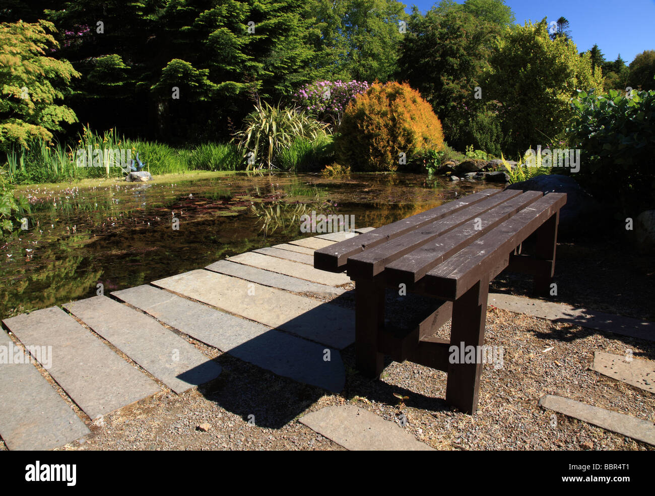 Garden bench on paving stones that surround a pond, fringed with bushes ...