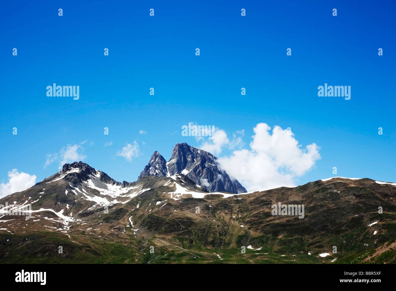 Pyrenees snow flowers hi-res stock photography and images - Alamy