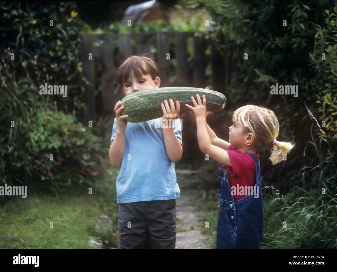 Young children holding marrow Stock Photo - Alamy