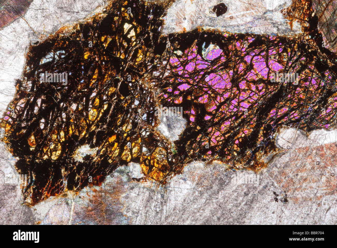 Troctolite Gabbro slide section, cross polarized lighting ...