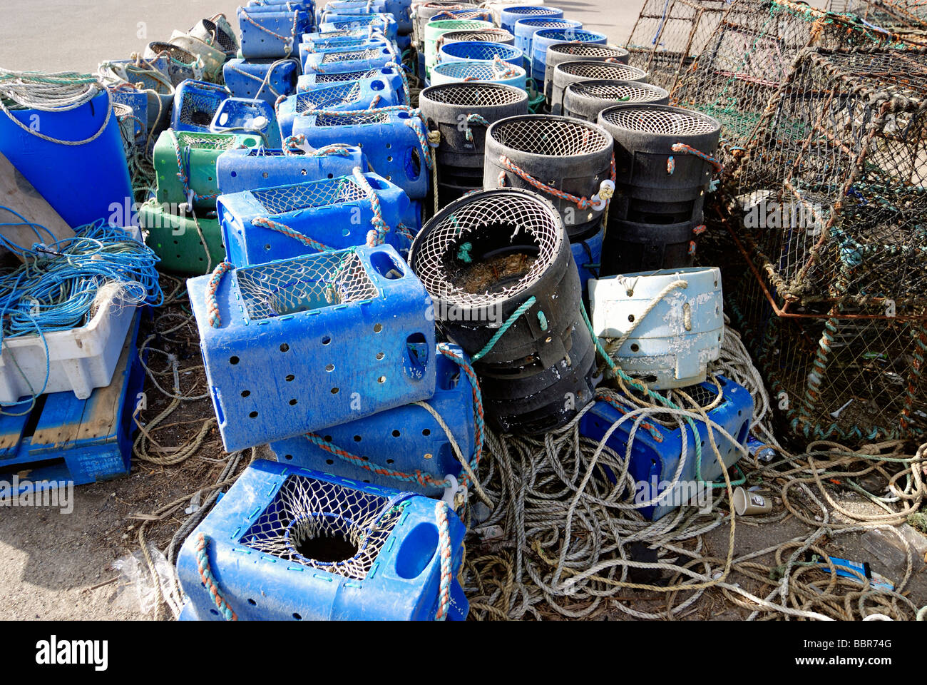Lobsters Fishing Crab Crabs High Resolution Stock Photography and ...