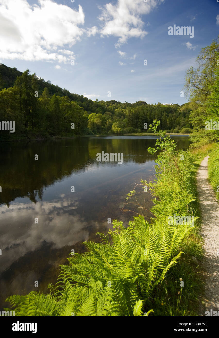 Yew Tree Tarn High Resolution Stock Photography and Images - Alamy