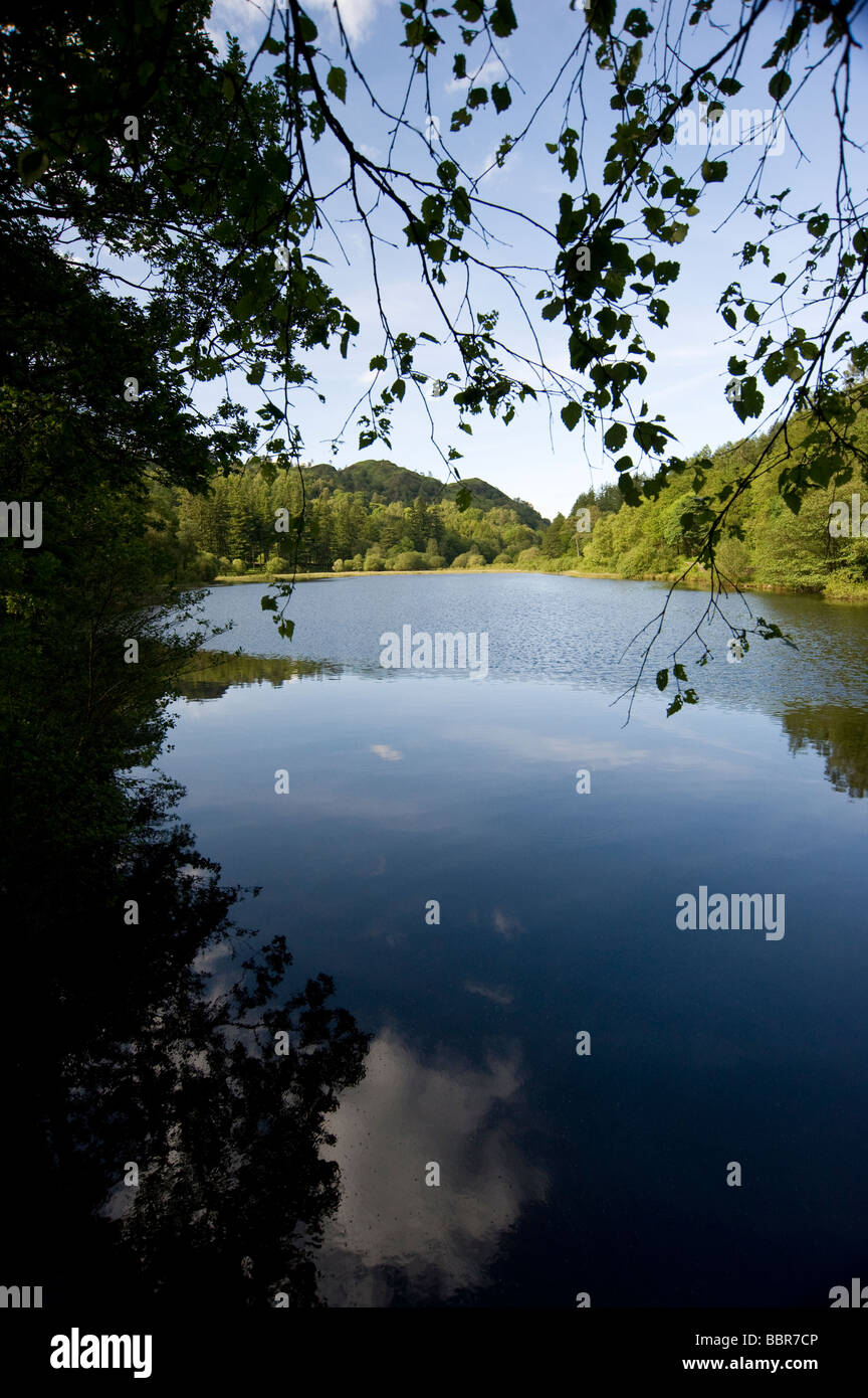 Yew Tree Tarn, Coniston, The Lake District, United Kingdom Stock Photo ...