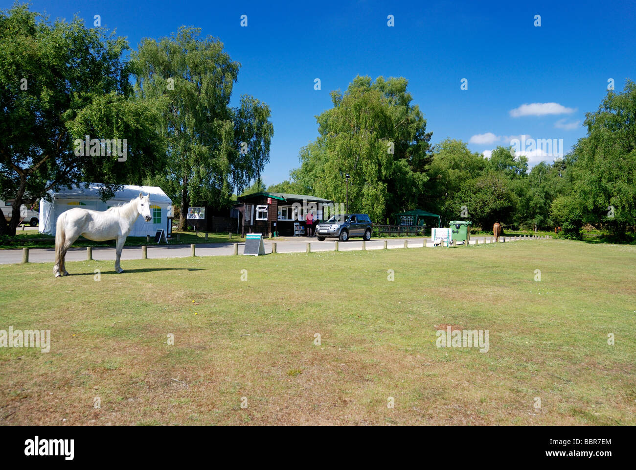 Camping reception High Resolution Stock Photography and Images - Alamy