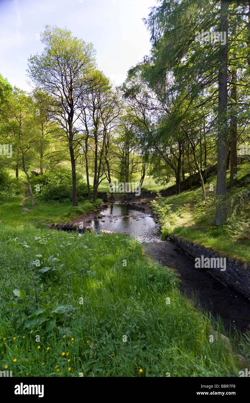 Yew tree tarn hi-res stock photography and images - Alamy