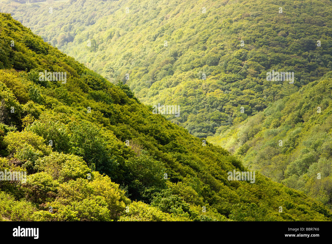 A wooded valley between Heddons mouth and Hunters Inn on the north ...