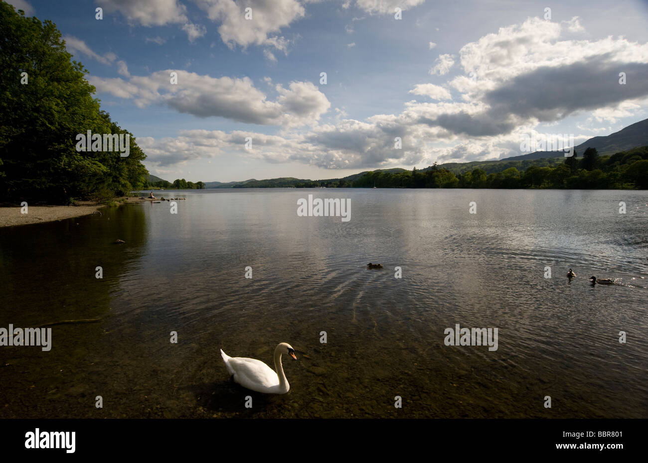 Coniston Water, The Lake District, United Kingdom Stock Photo - Alamy