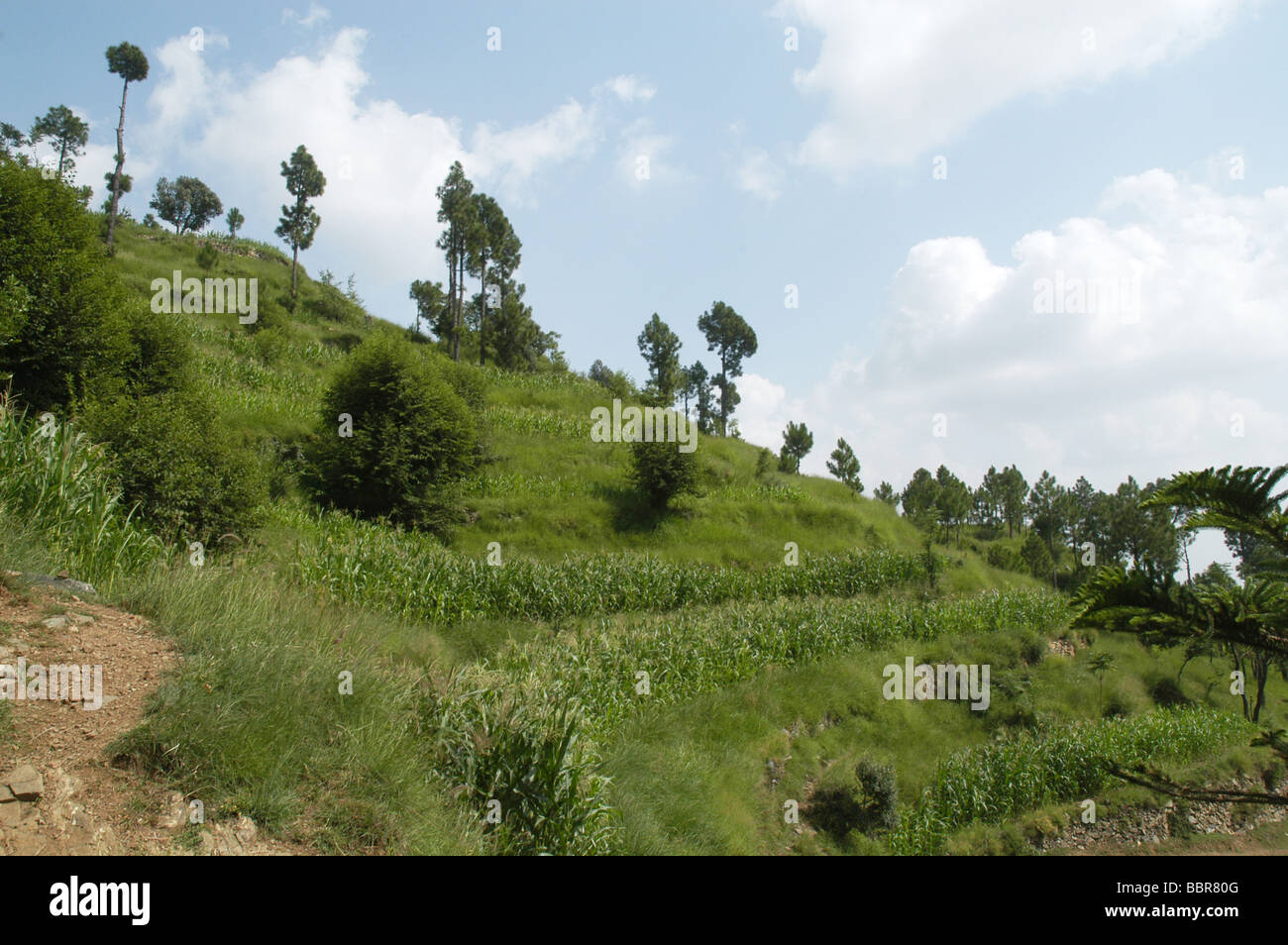 Pakistan north west frontier province nwfp hi-res stock photography and ...