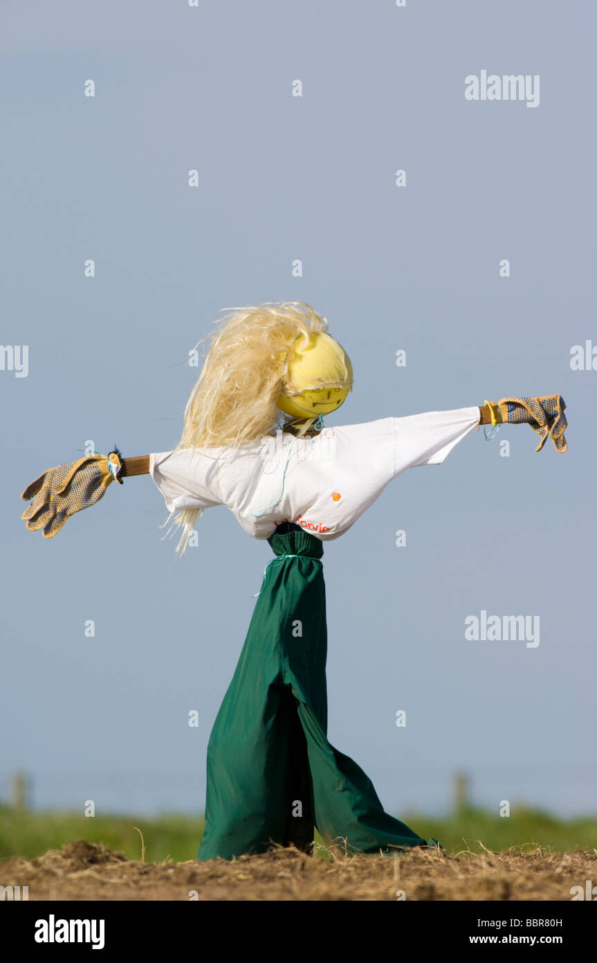 Traditional scarecrow, standing in an arable crop field on a farm in ...