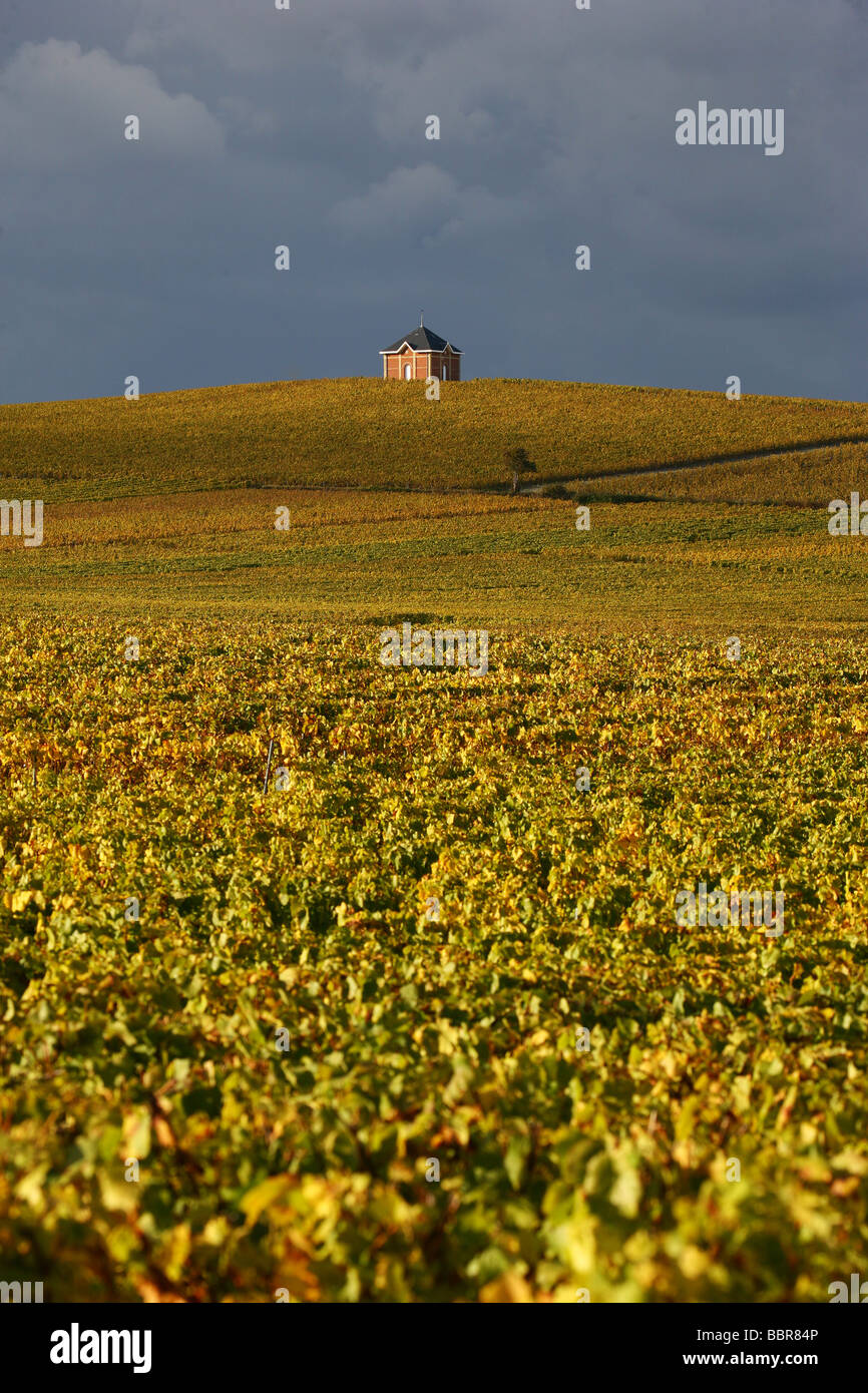 Champagne moet vineyard france hi-res stock photography and images - Alamy