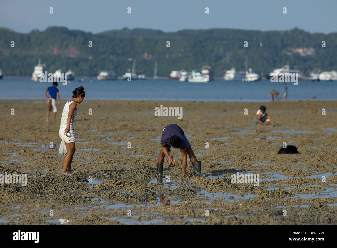 Cockle pickers hi-res stock photography and images - Alamy