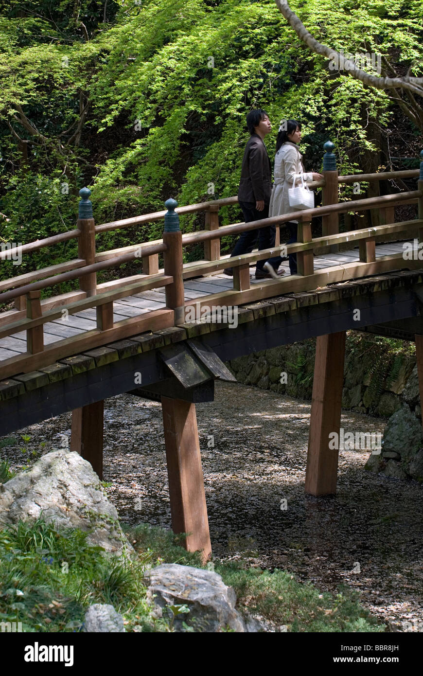 A couple crossing over a gently arched wood bridge in a Japanese garden ...
