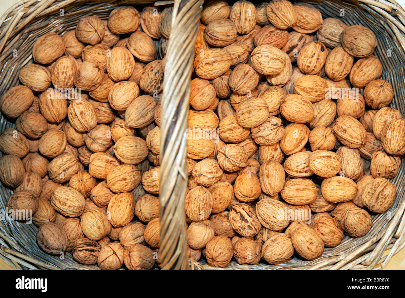 WALNUTS FROM THE BERRY, FRANCE Stock Photo - Alamy