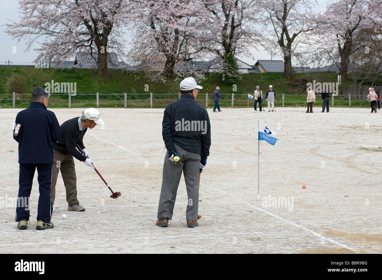 A group of retired elderly folks enjoying a game of croquet or gate ...