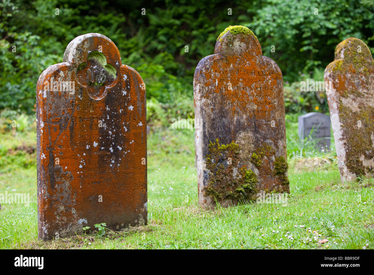 Gravestones in Culbone churchyard said to be the smallest in England ...