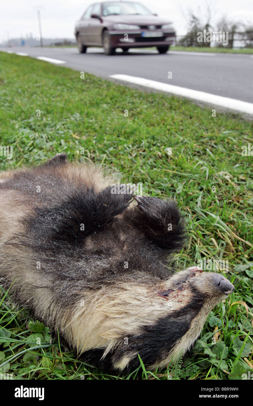 Hit by a car hi-res stock photography and images - Alamy