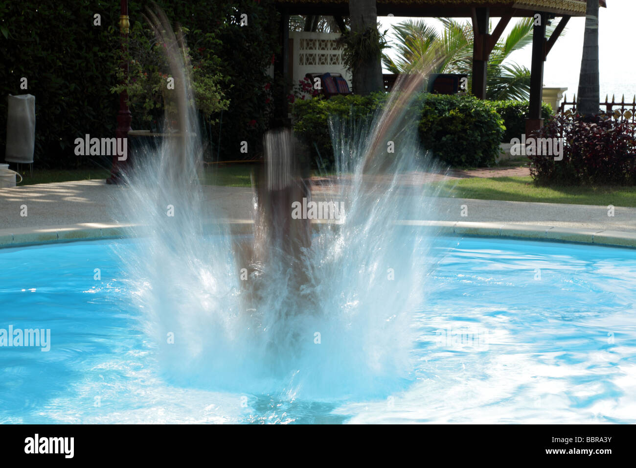 Leaping out the water Stock Photo - Alamy