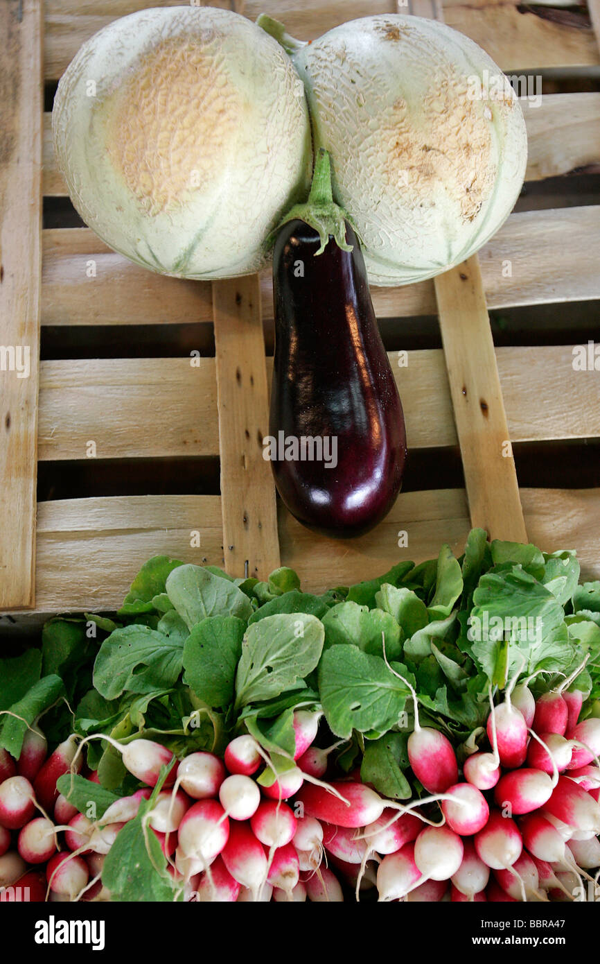 HUMORISTIC STALL OF FRUIT AND VEGETABLES IN A PROVINCIAL MARKET ...