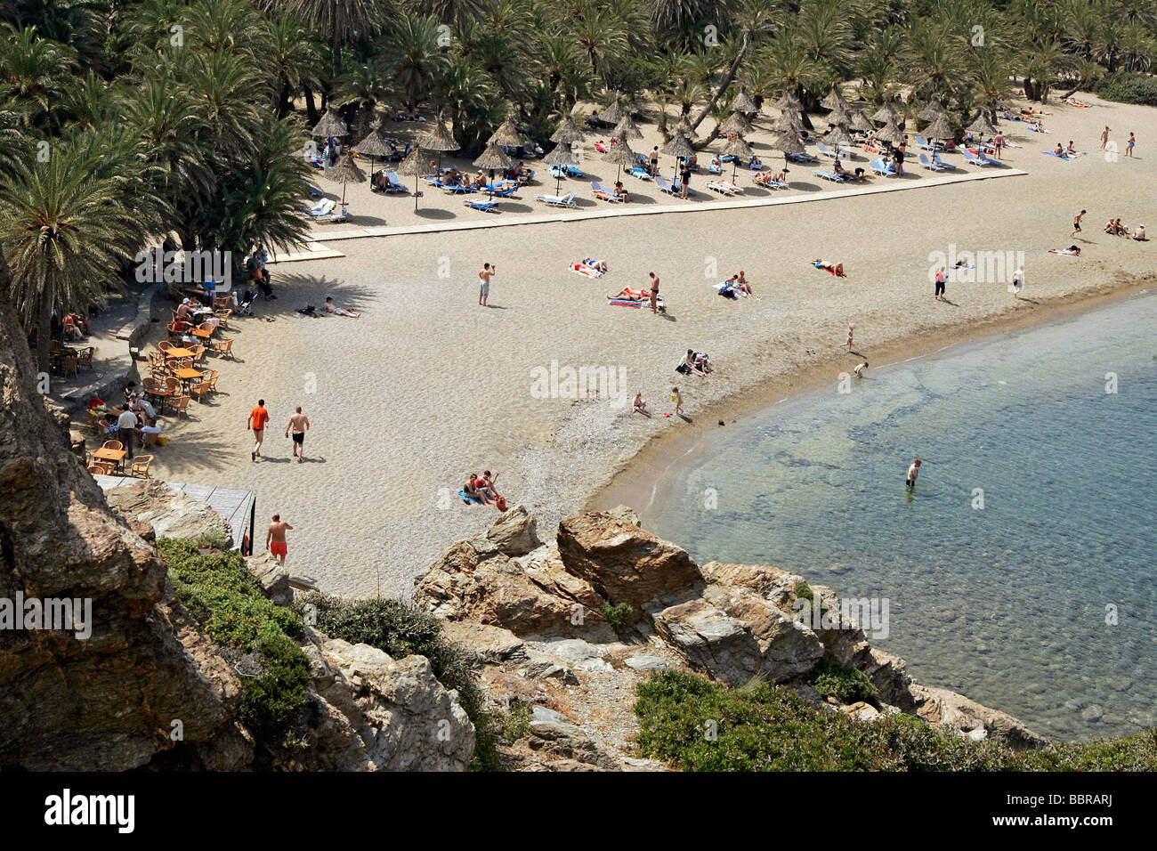 Vai palm grove crete hi-res stock photography and images - Alamy