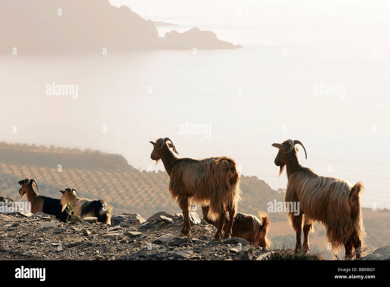 Sfinari crete hi-res stock photography and images - Alamy